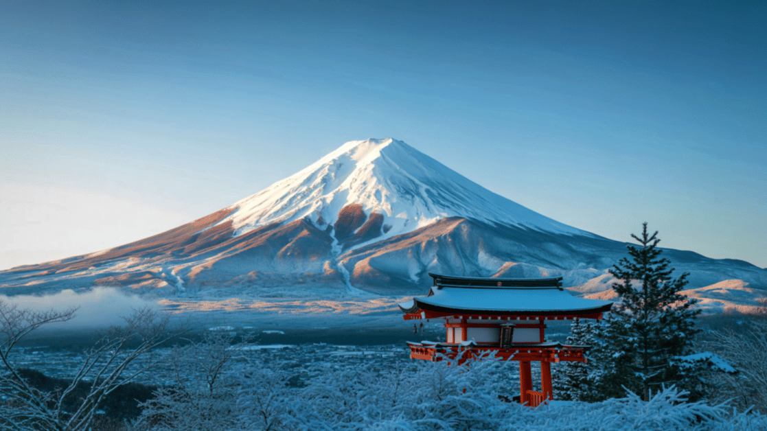 【2025年ご挨拶】感謝を込めて| 株式会社willow